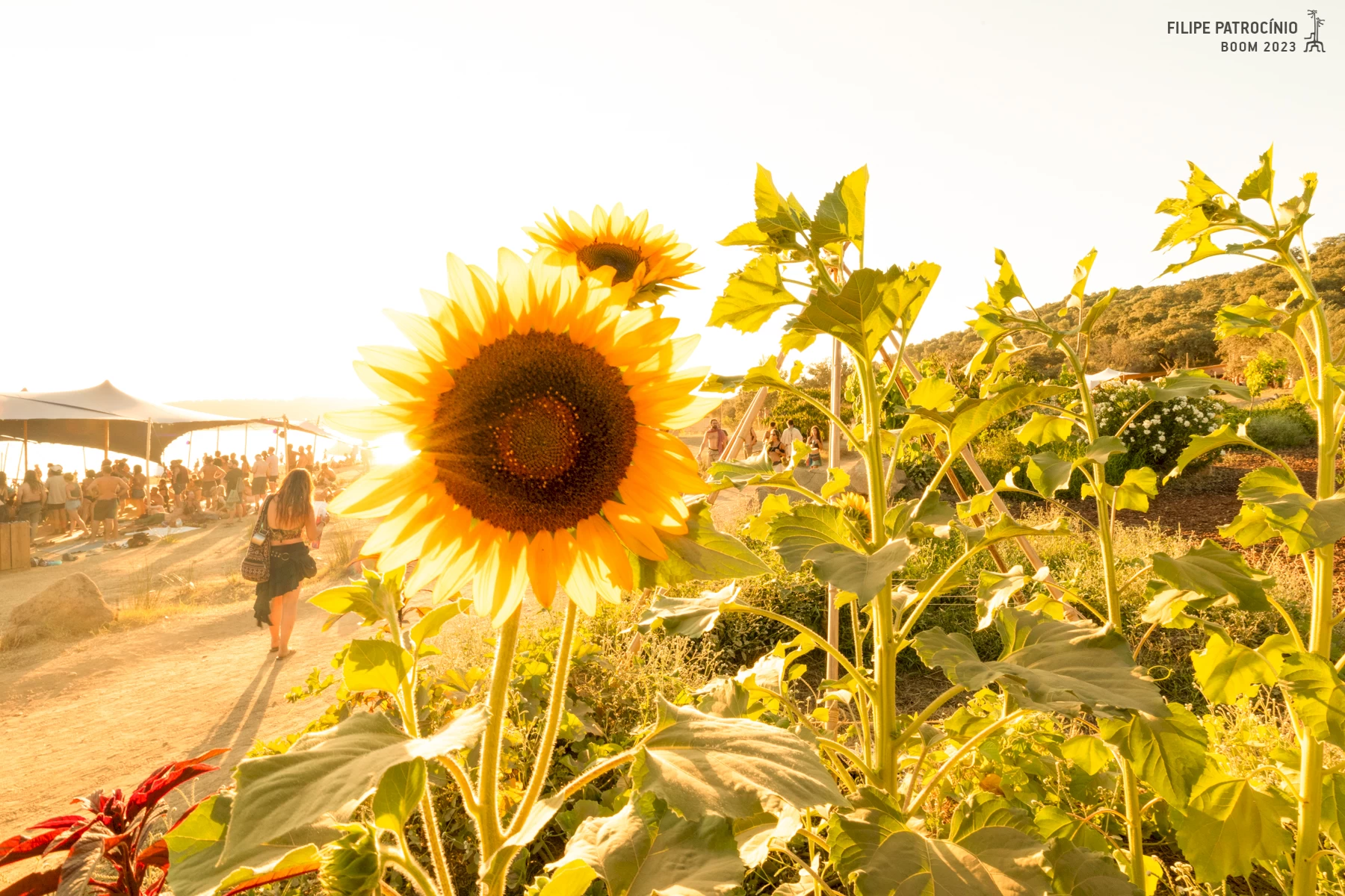 SPACESHIP EARTH - Boom Festival 2025